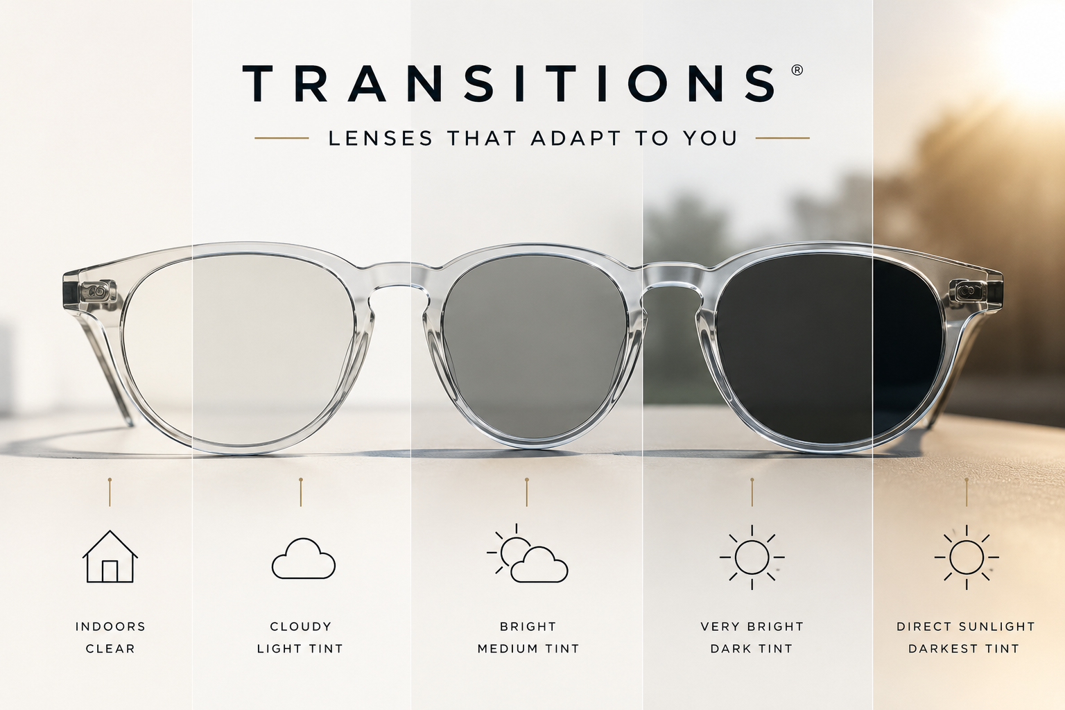 Transitions® vs Polarised Lenses | Which Is Better? | Burghley & Co
